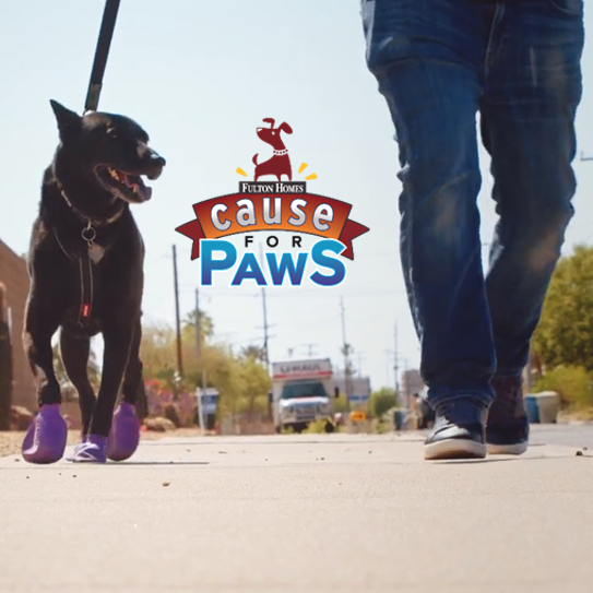 Cause for Paws 2022
